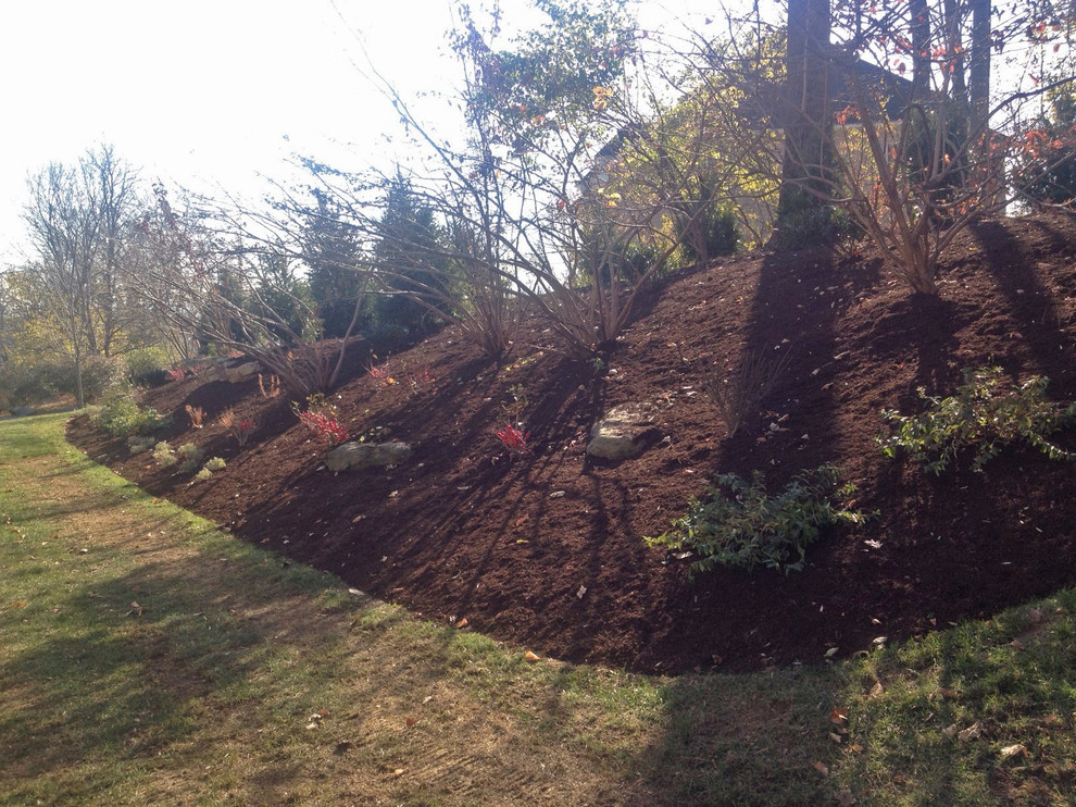 Fall Landscape Buffer Planting - Landscape - Other - by C.E. Pontz Sons ...