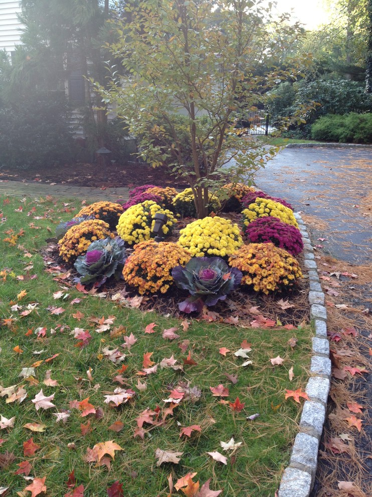 Fall Seasonal Color - Landscape - New York - by R&S Landscaping | Houzz