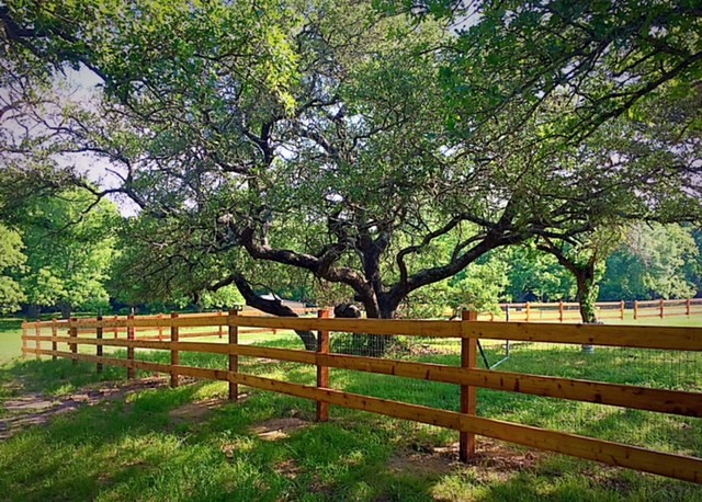 Farm, Pipe and Ranch - Traditional - Landscape - Dallas - by Buzz ...