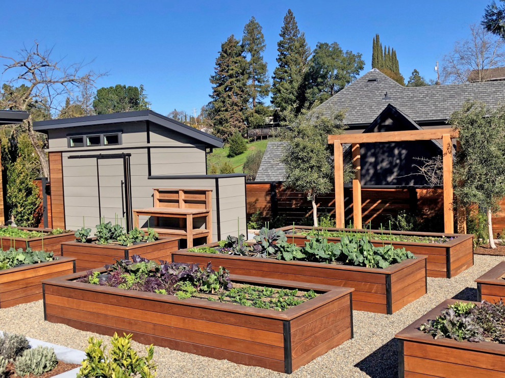 Farm to table raised-bed garden - Modern - Landscape - San Francisco ...