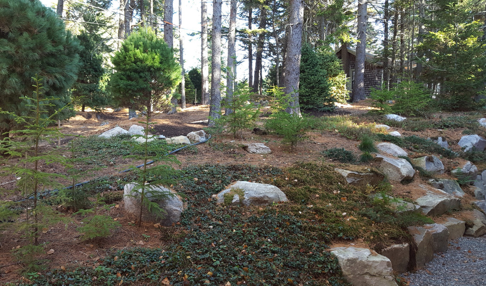 Faux Ledge with native plants - Transitional - Landscape - Other - by ...
