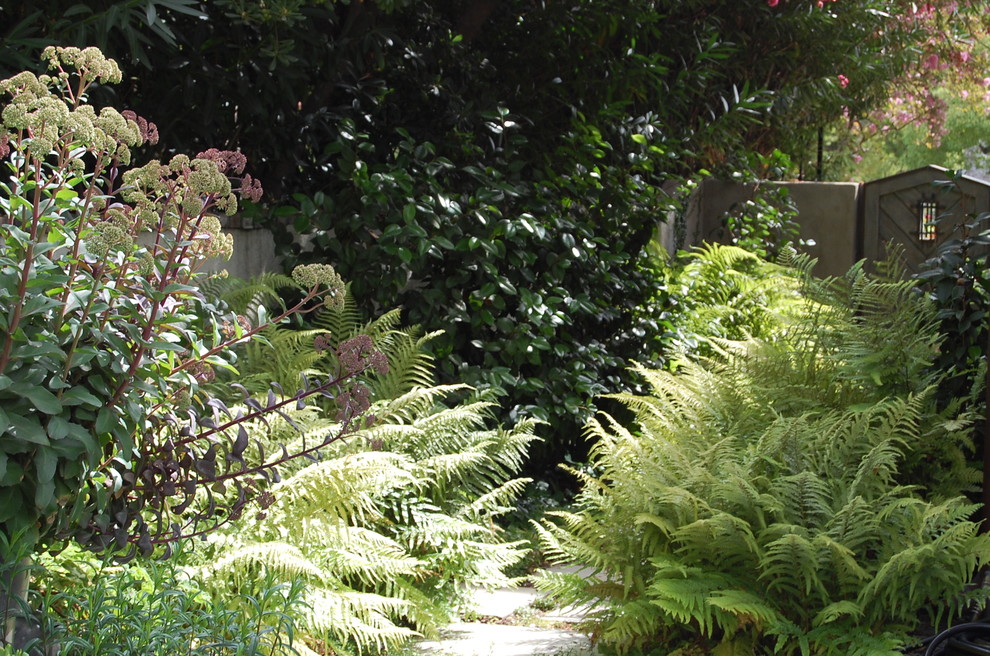 Fern Garden - Contemporary - Landscape - Los Angeles - by Jason Lee ...