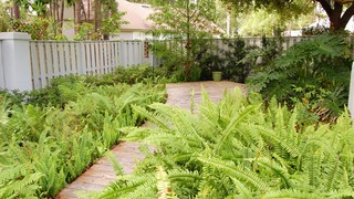 Fern Walk - Rustic - Landscape - Jacksonville - by Pittman Landscape ...