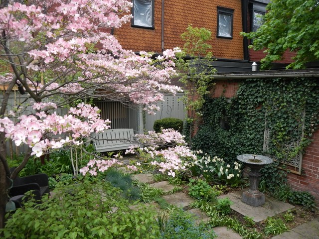 8 Trees Landscape Designers Love for Small Spaces