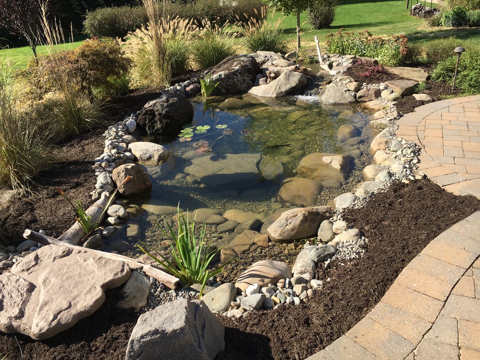 Fish Pond Rebuild - Landscape - Other - by C.E. Pontz Sons | Houzz