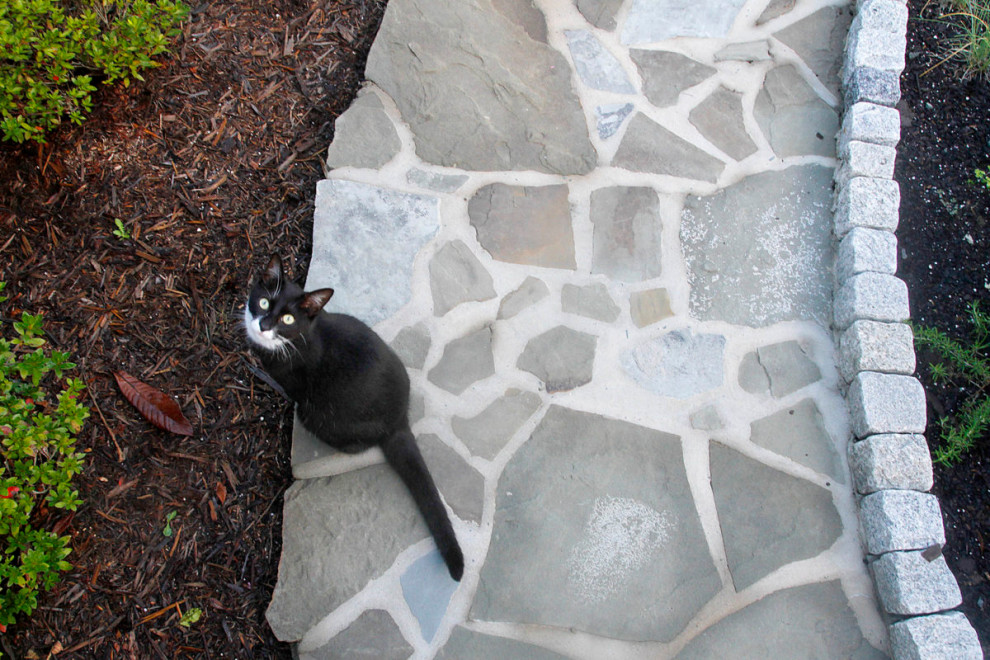 Flagstone Pathway Edged In Stone - Traditional - Garden - Wilmington ...