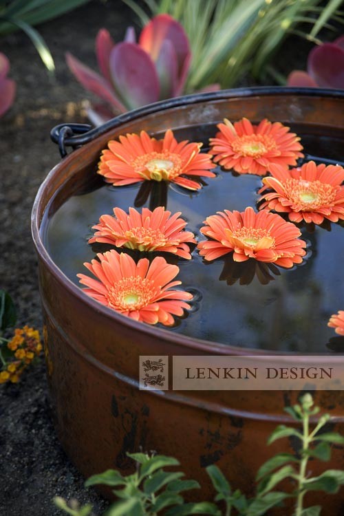 Floating Daisies - Contemporary - Landscape - Los Angeles - by Lenkin ...