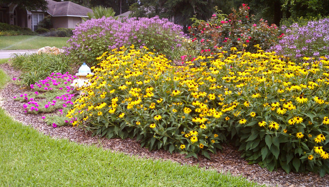Florida Friendly Landscaping Florida Friendly Landscaping Garden