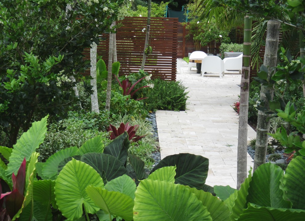 Florida Front yard garden design - Landscape - Miami - by Matthew ...