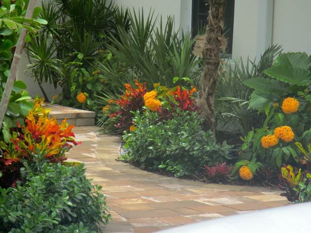 Florida Front yard garden design - Tropical - Garden - Miami - by ...