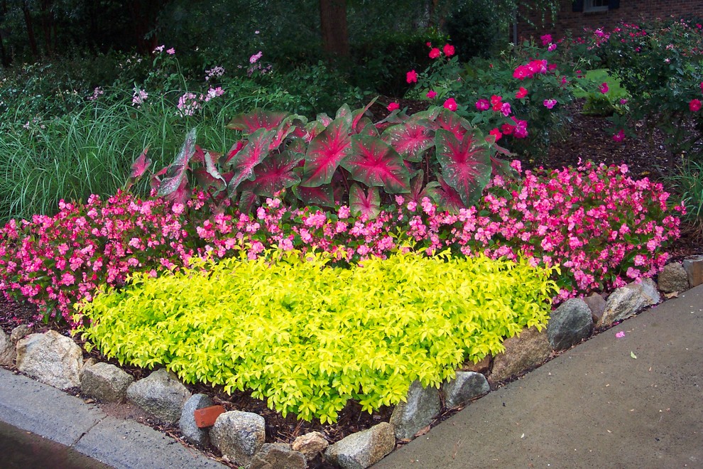 Flower Gardens in the South - Landscape - Atlanta - by jenny_hardgrave ...