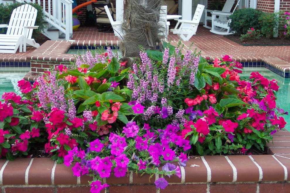 Flower Gardens in the South - Landscape - Atlanta - by jenny_hardgrave ...