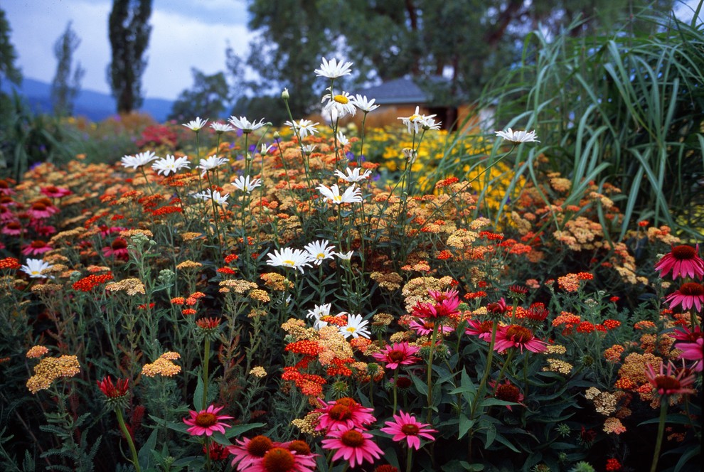 Flowers in Space - Traditional - Landscape - Denver - by MARPA DESIGN ...