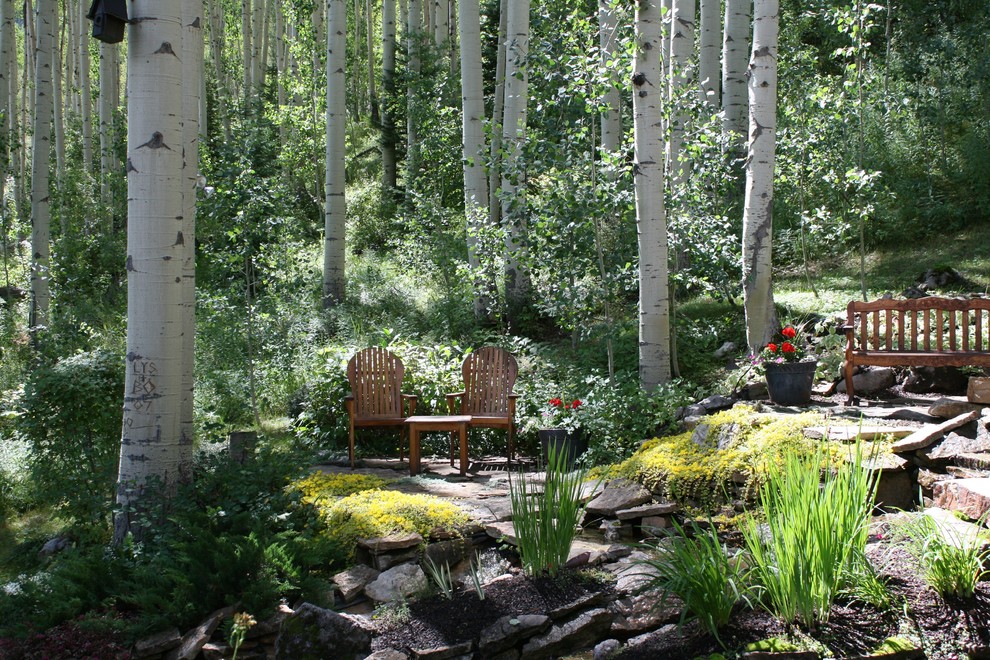 Forest Seating - Rustic - Landscape - Denver - by Landscape Technology ...