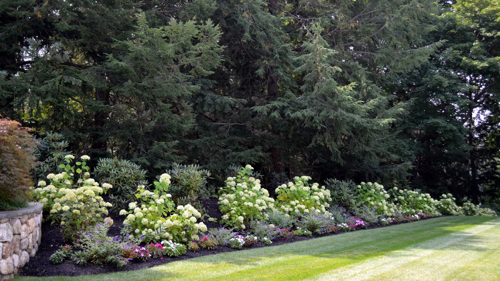 Formal European Style Garden with 4 Season Interest - Traditional ...