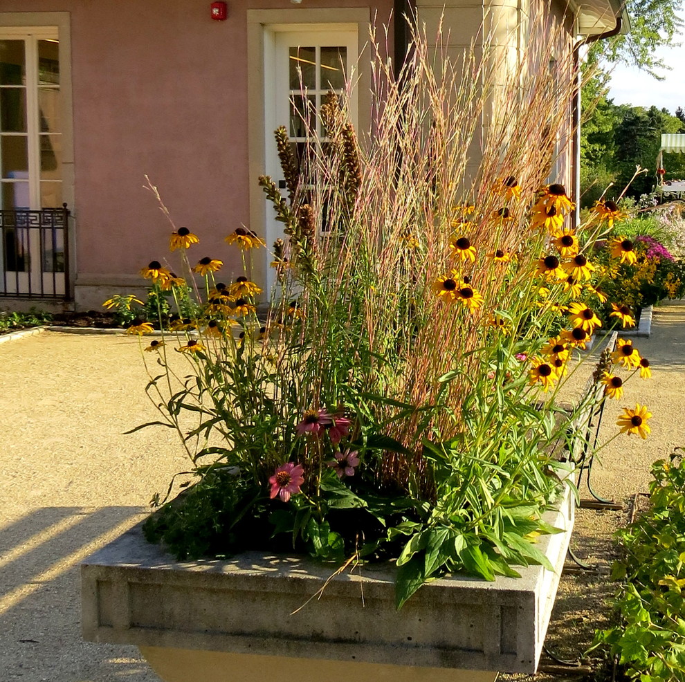 Formal Gardens with Native Plants - Traditional - Landscape - Chicago ...