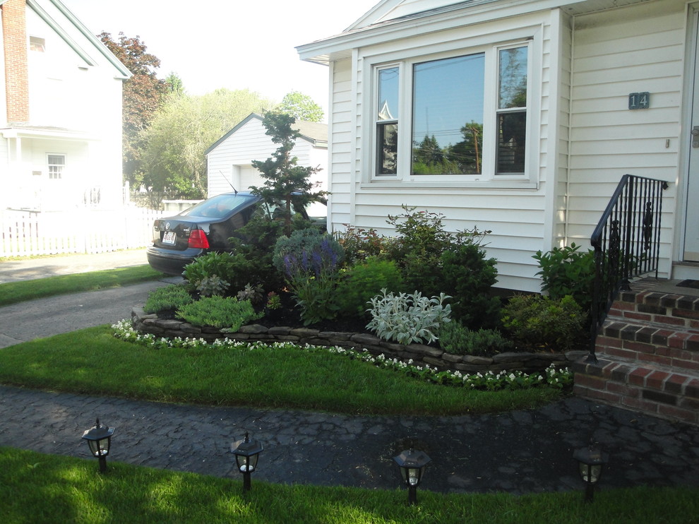 Foundation Plantings - Contemporary - Landscape - Boston - by Mahoney's ...