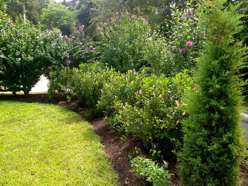 Fragrant hedges in Chatham, MA - Contemporary - Landscape - Boston - by ...