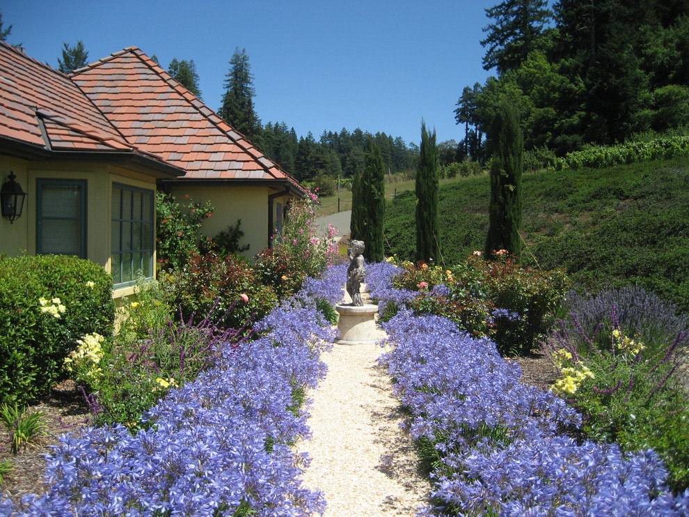 Freestone Estate Planting - Traditional - Landscape - San Francisco - by Geared for Growing ...