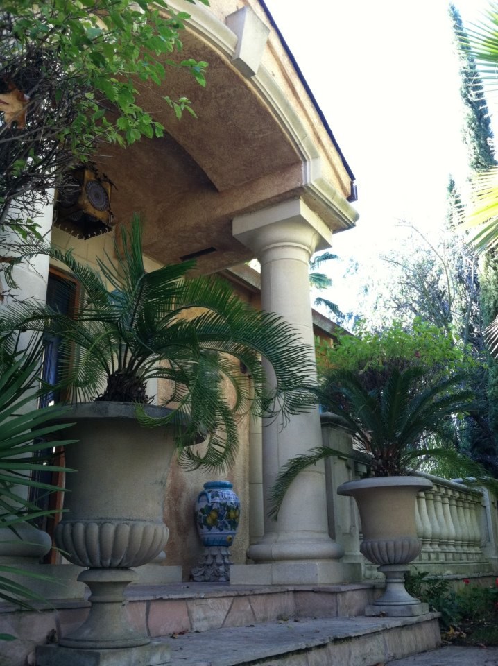 french garden - Traditional - Landscape - San Francisco - by ...