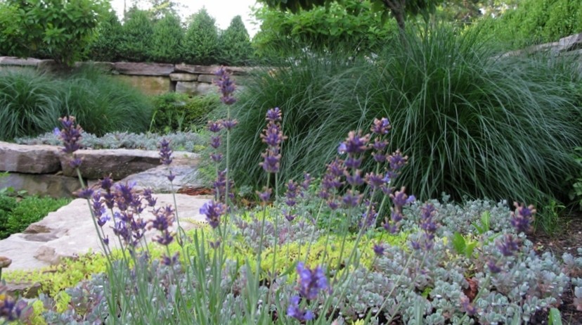 French Park - Traditional - Landscape - Detroit - by Creative ...