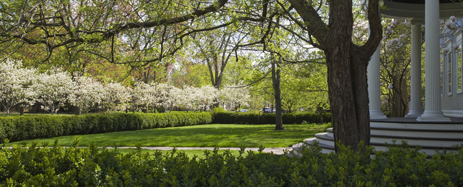 Front entry and formal lawn beneath Hawthorn Tree - Traditional ...