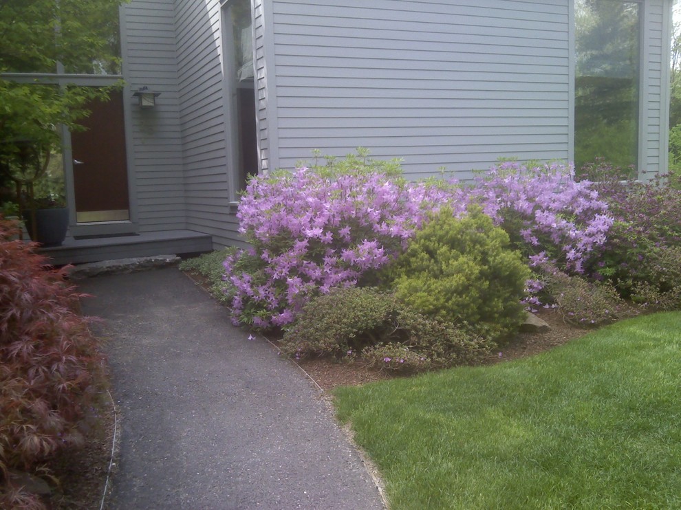 Front entry Shade Garden mid Spring( low maintenance) - Contemporary ...