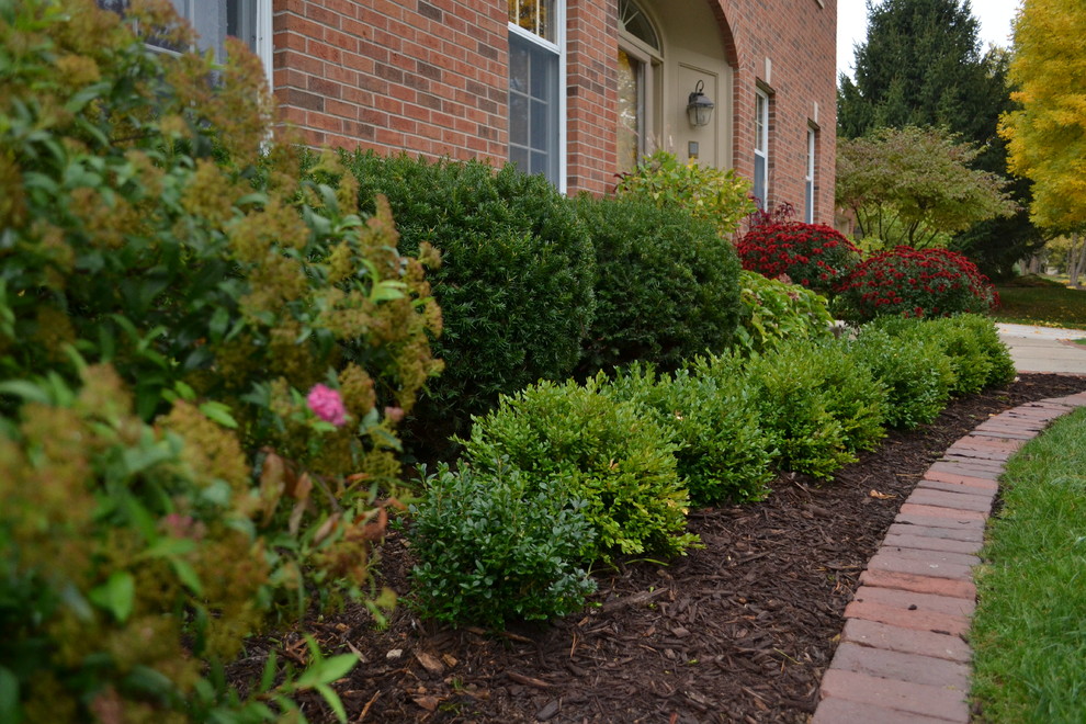 Front Foundation Plantings - Traditional - Landscape - Other - by ...