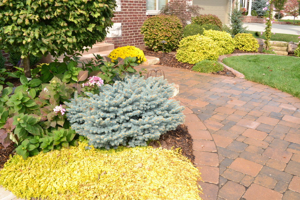 Front Foundation Plantings - Traditional - Landscape - Other - by ...