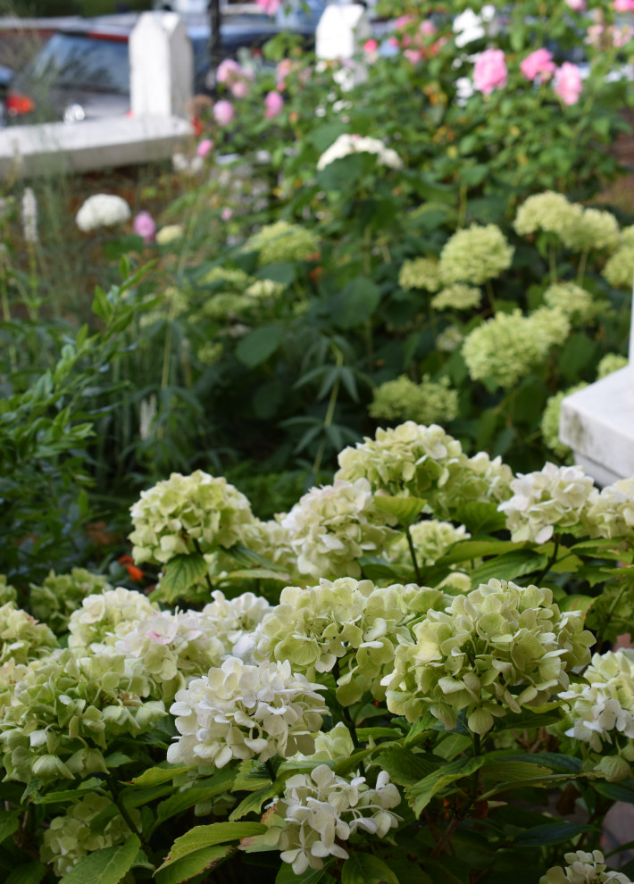 Front Garden Ealing - Contemporary - Landscape - London - by Breeze ...