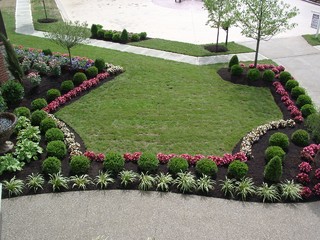 Front Landscapes - Traditional - Landscape - Cincinnati - by ...