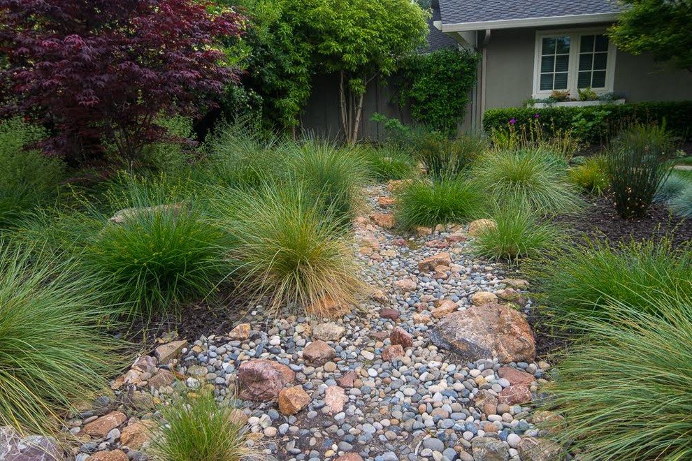 Front swale - Contemporary - Landscape - Other - by Sycamore Design | Houzz