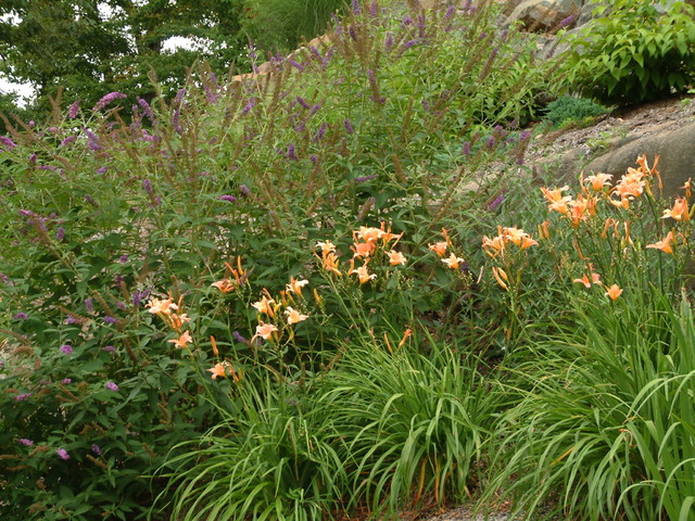 Front Yard Driveway and Planting Design - Eclectic - Garden - New York ...