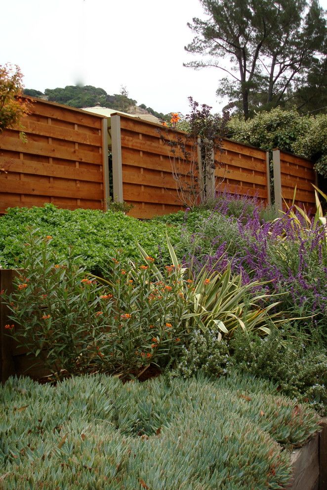 Front Yard Entry Gate - Contemporary - Landscape - San Francisco - by ...