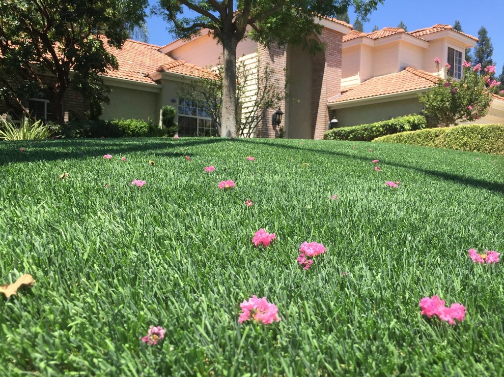 Front Yard Landscapes with Artificial Grass - Traditional - Garden ...
