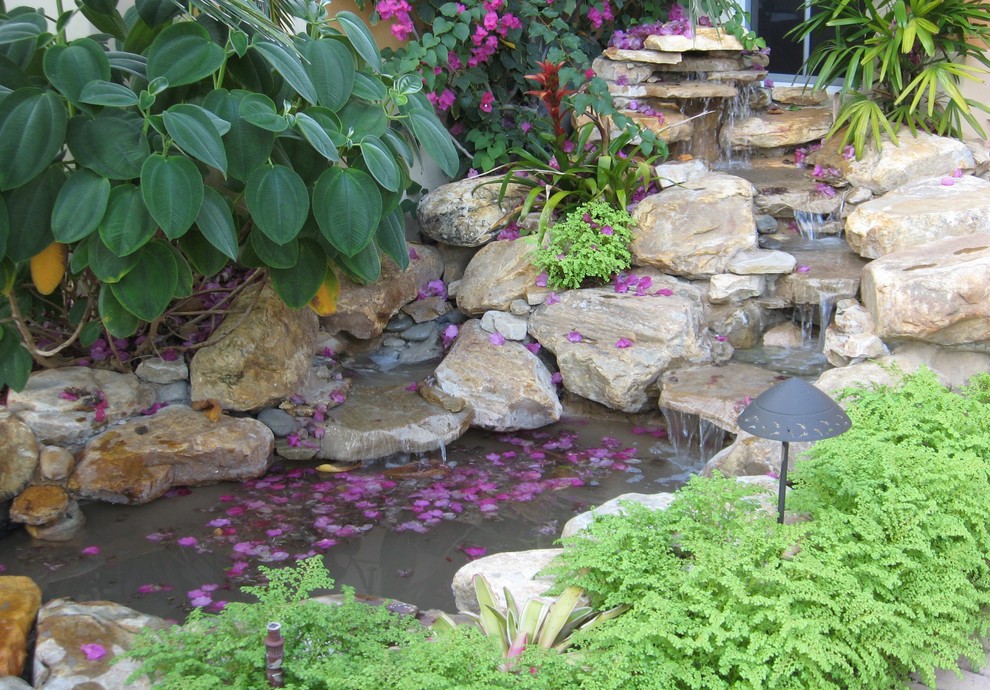 Front yard landscaping ideas in South Florida - Landscape - Miami - by ...