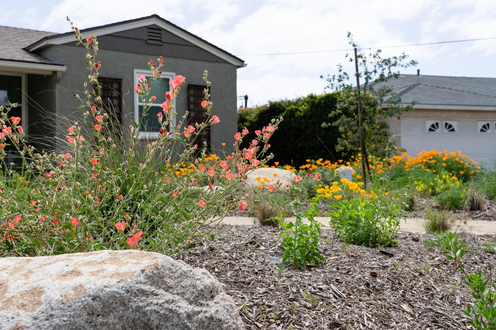 Front Yard Makeover - Traditional - Landscape - San Diego - by ...