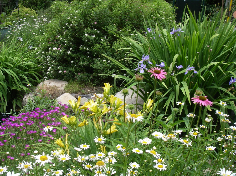 Front yard perennial garden Curb Appeal #11 - Traditional - Landscape ...