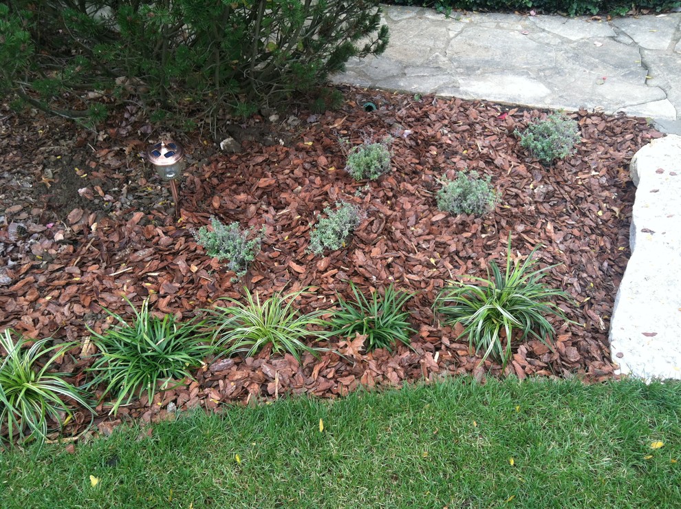 Front Yard Rain Garden - Traditional - Landscape - Columbus - by User ...