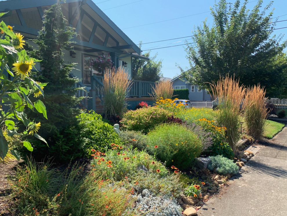 Front yard redesign and Pollinator Garden - Craftsman - Landscape ...