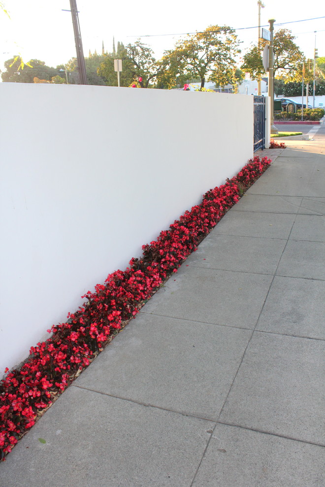 Front Yard Wall with Border Planting Begonias - Traditional - Landscape ...