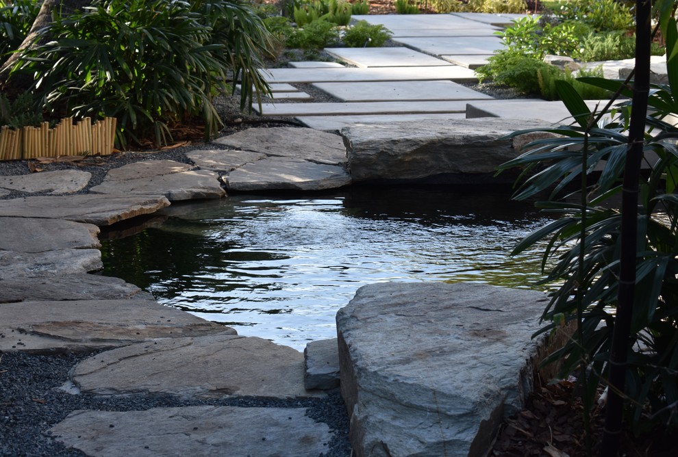 Front Yard Water Garden Pond - Tropical - Garden - Miami - by ...