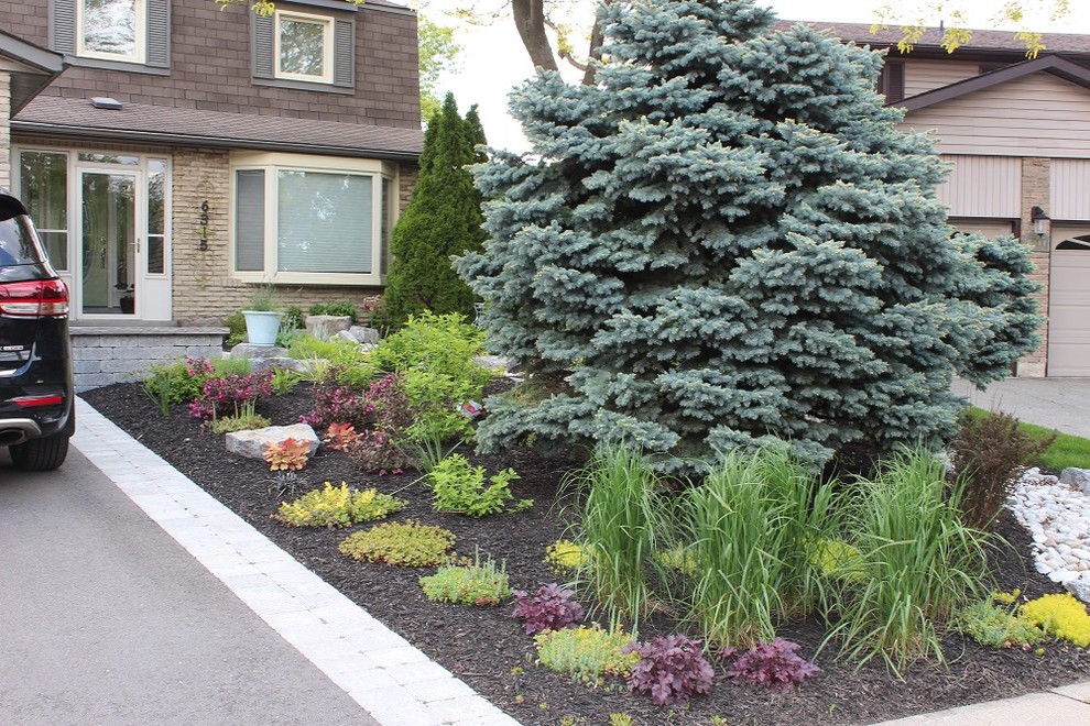 Front yard with no lawn and a lot of curb appeal - Traditional ...