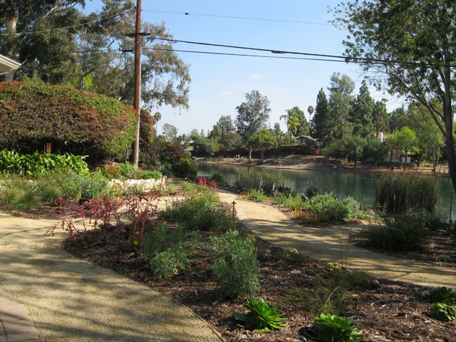 Fullerton Native/Low Water Front Yard - Classique - Jardin - Orange ...