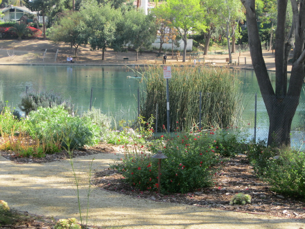 Fullerton Native/Low Water Front Yard - Traditional - Landscape ...