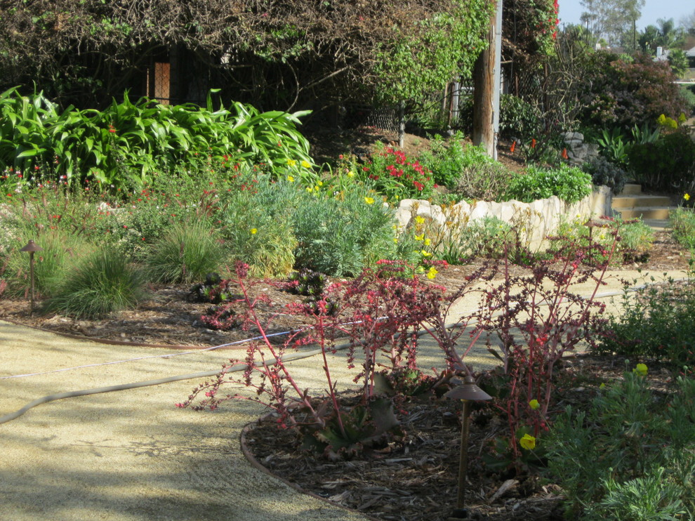 Fullerton Native/Low Water Front Yard - Traditional - Landscape ...