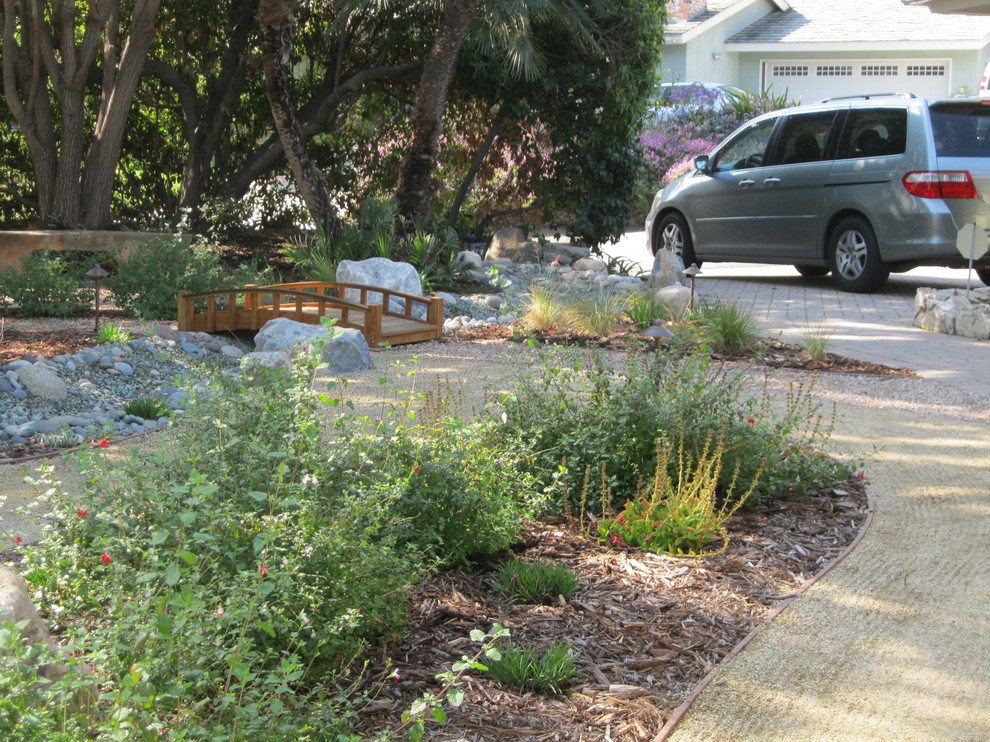 Fullerton Native/Low Water Front Yard - Traditional - Landscape ...
