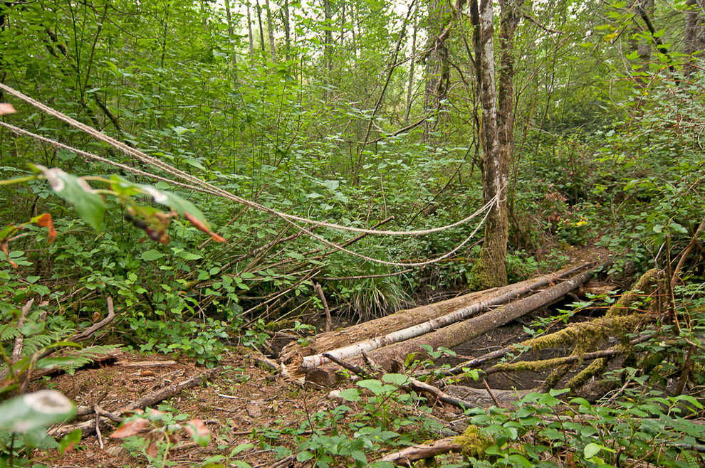 Furwood - Traditional - Landscape - Melbourne - by Louise Lakier | Houzz
