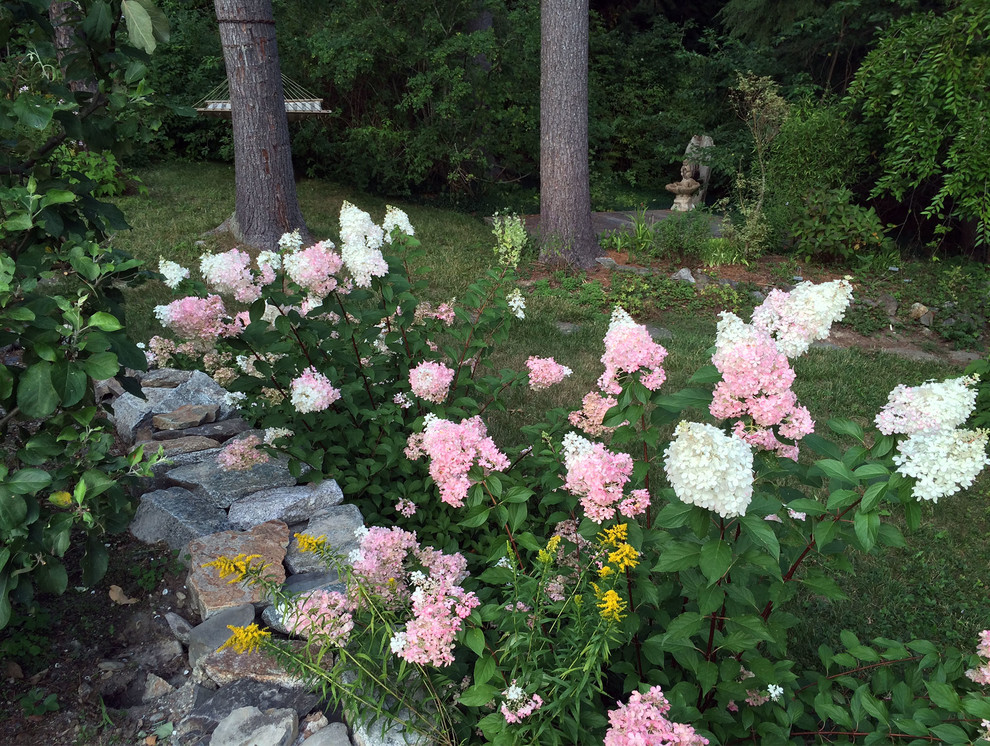 Garden Closeups from EDLA Designs - Traditional - Landscape - Boston ...