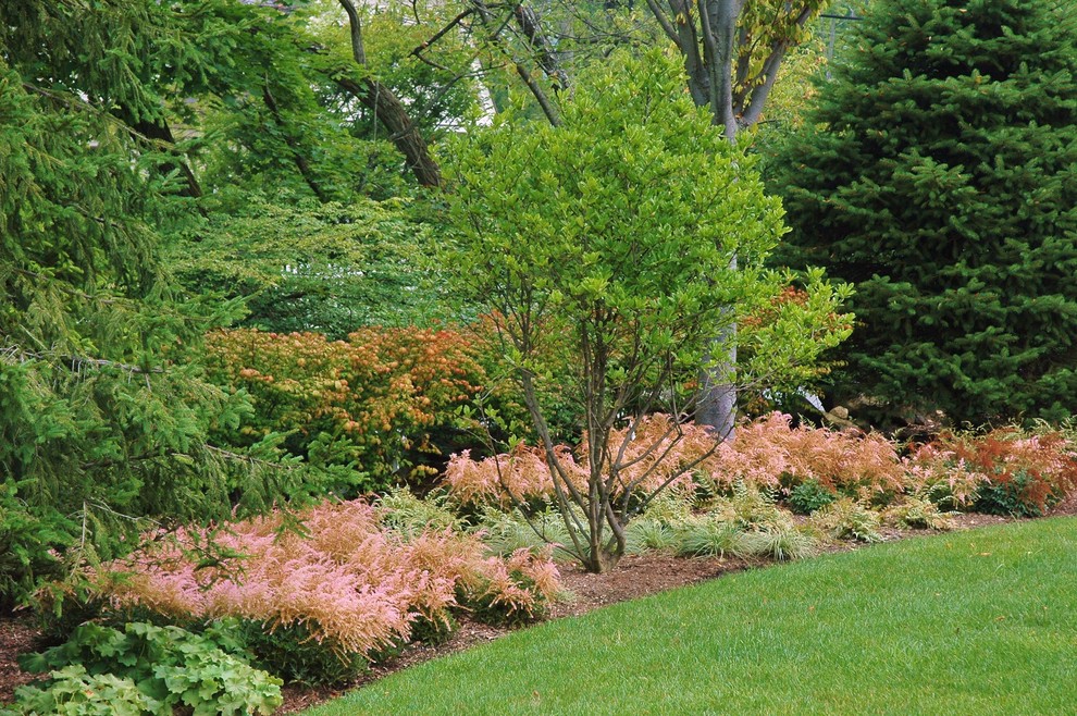 Garden featuring Astilbe 'Sprite' - Traditional - Landscape - New York ...